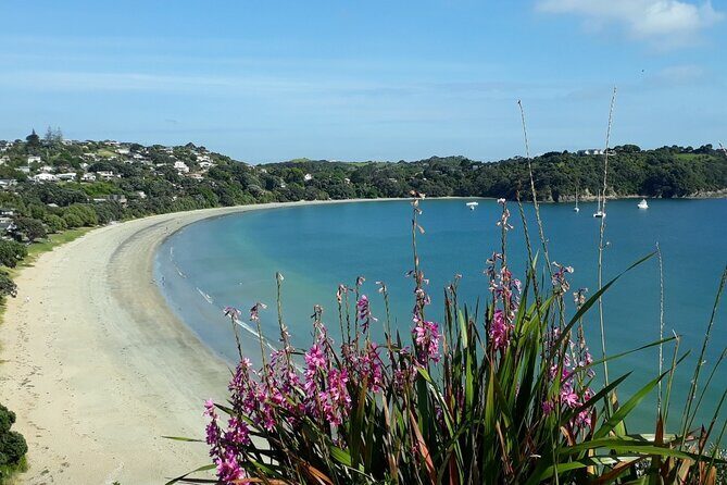 Waiheke Island Private Tours - Authentic Feedback and Expectations