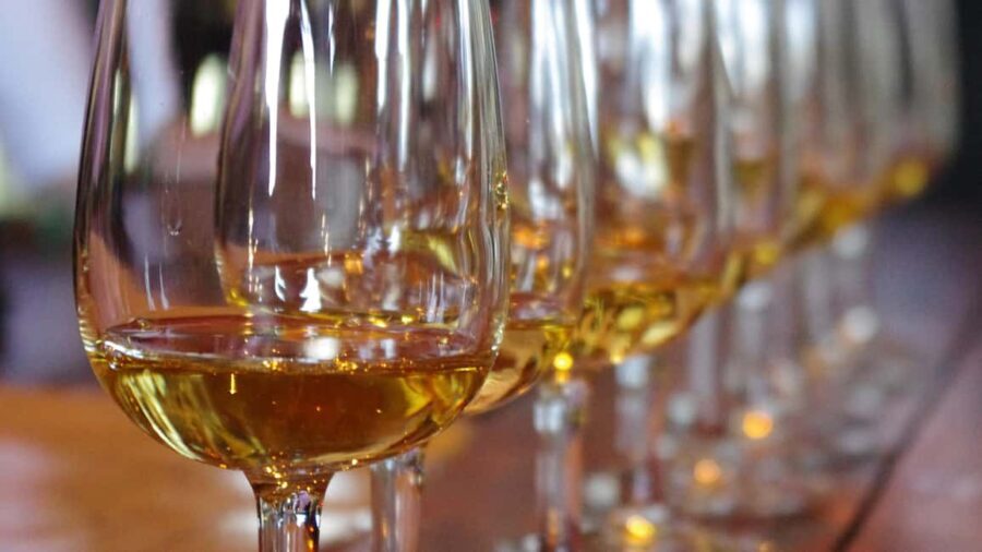 Waiheke Island: Scenic PREMIUM Wine Tour. Max 11 clients - Evaluating the value