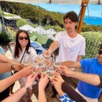 Waiheke Island Scenic Wine Tour with Gourmet Beachfront Lunch - Whats Included and What’s Not?