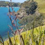 Waiheke Island Self Guided 4 Day Walking Adventure - An In-Depth Look at the Experience