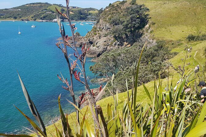 Waiheke Island Self Guided 4 Day Walking Adventure - An In-Depth Look at the Experience