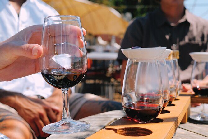 Waiheke Island: Sip & Savour Tour - The Value of a Well-Curated Experience