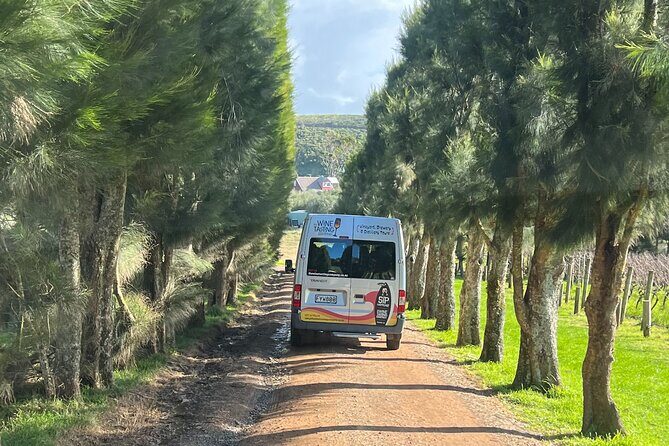 Waiheke Island Winery Tour - The Authentic Waiheke Experience