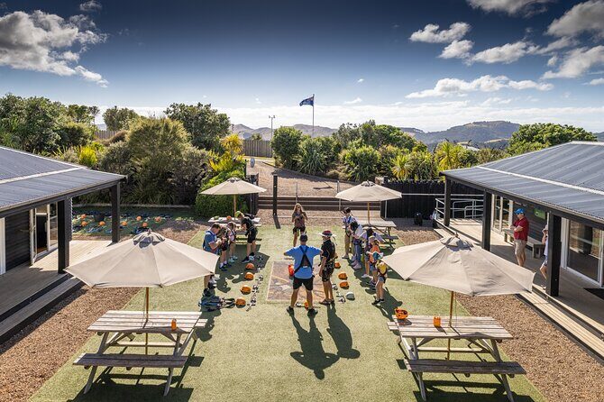 Waiheke Island: Zipline And Forest Walk - The Value for Money