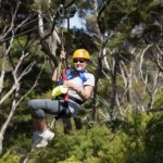 Waiheke Island: Zipline and Native Forest Adventure Trip - Top Highlights of the Waiheke Zipline Adventure