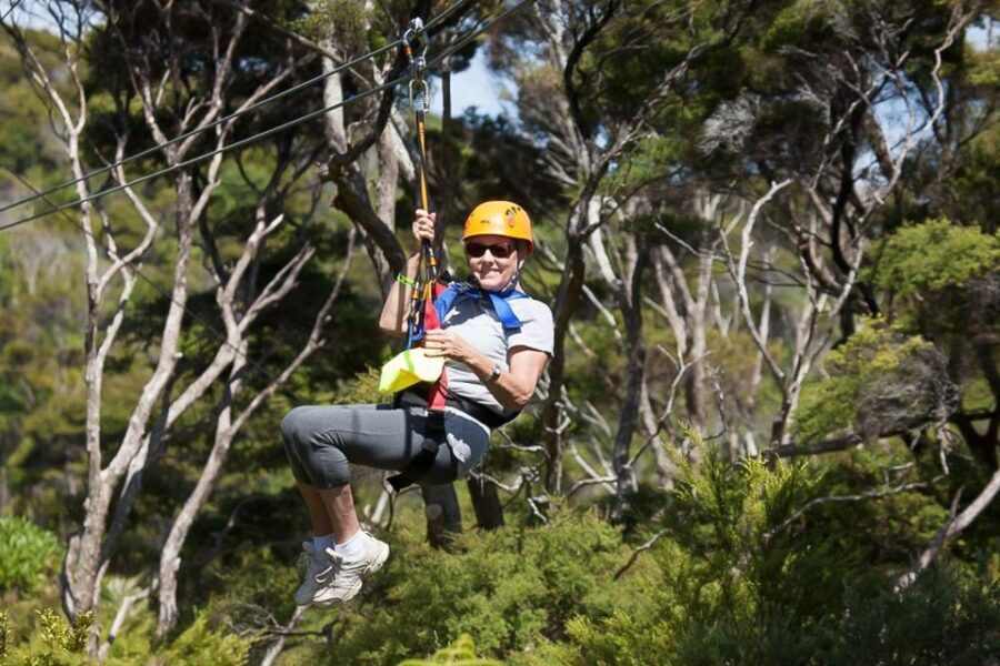 Waiheke Island: Zipline and Native Forest Adventure Trip - Top Highlights of the Waiheke Zipline Adventure