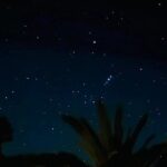 Waiheke Private Stargazing Tour Night Walk - The Value of This Experience