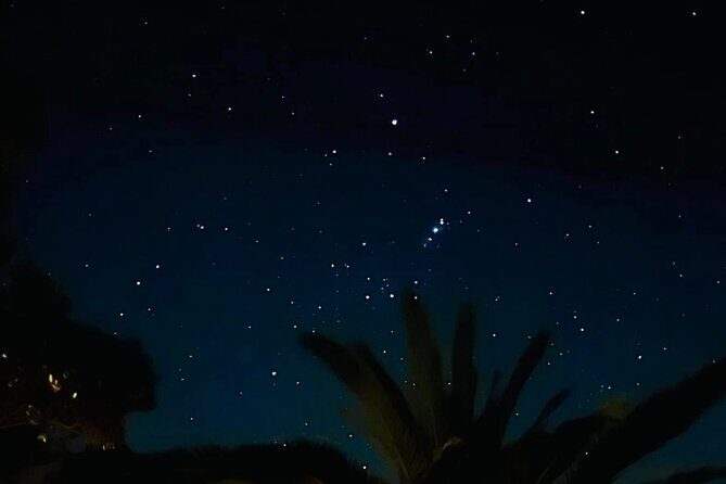 Waiheke Private Stargazing Tour Night Walk - The Value of This Experience