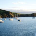 Waiheke Wine and Dine - Batch Winery - Top Takeaways from the Waiheke Wine and Dine Tour