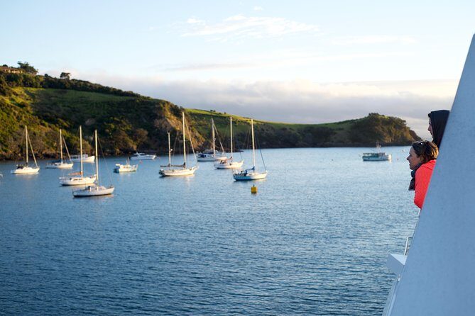 Waiheke Wine and Dine - Batch Winery - Top Takeaways from the Waiheke Wine and Dine Tour