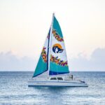 Waikiki Catamaran Snorkel Sail: Turtles Guaranteed - Analyzing the Value: Is It Worth the Price?