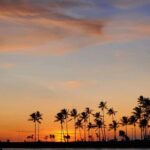 Waikiki: Friday Night Fireworks Catamaran Sail - Setting Sail in Waikiki: What to Expect