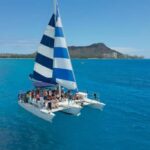 Waikiki: Sail and Turtle Snorkel Experience - Who Will Love This Tour?