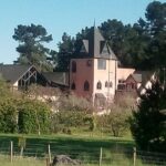 Waipara Wine Experience for 2 or more, inc tastings and lunch - Itinerary Breakdown: What to Expect