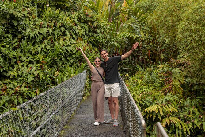 Waipio Valley, Hilo Waterfalls, Volcano and Black Sand Beach - Hilo Waterfalls: Akaka and Rainbow