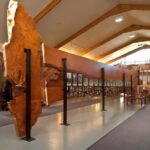 Waipoua KAURI Forest, Tane Mahuta & Museum Tour Ex Auckland - The Practical Side: What Travelers Should Know