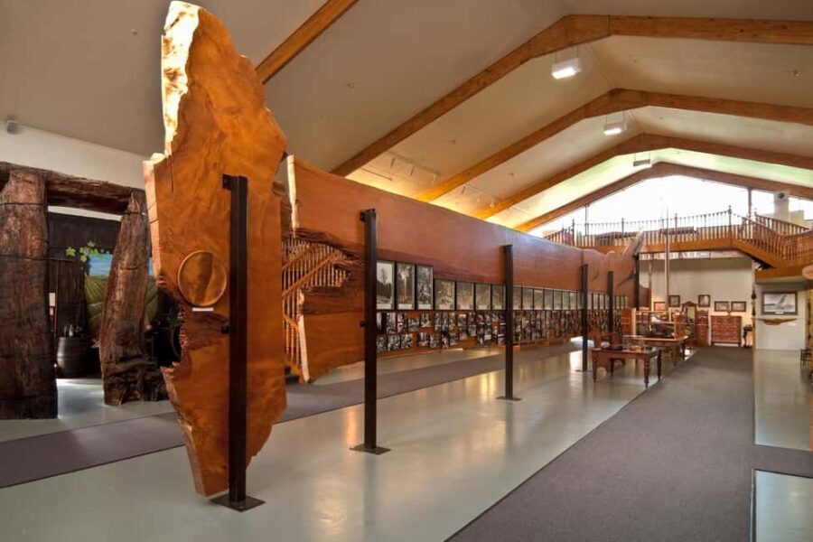 Waipoua KAURI Forest, Tane Mahuta & Museum Tour Ex Auckland - The Practical Side: What Travelers Should Know