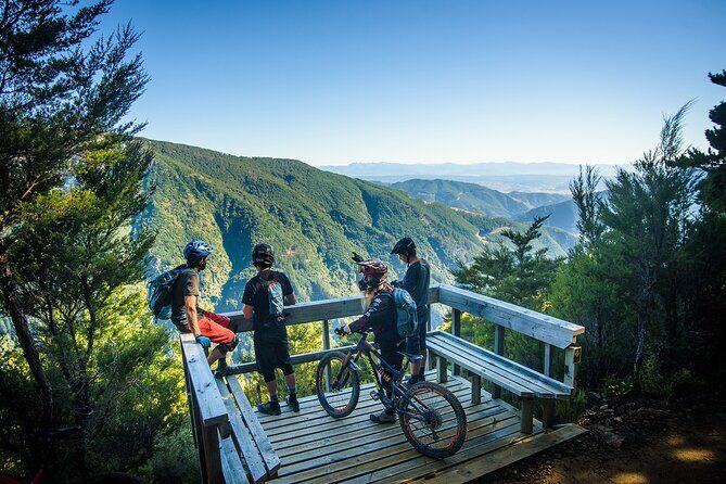 Wairoa Gorge MTB Park Private Shuttle Day - Exploring the Wairoa Gorge MTB Park: A Fully Guided Day of Adventure