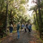 Waitakere Ranges Wilderness Experience Tour from Auckland - The West Coast and Piha Beach