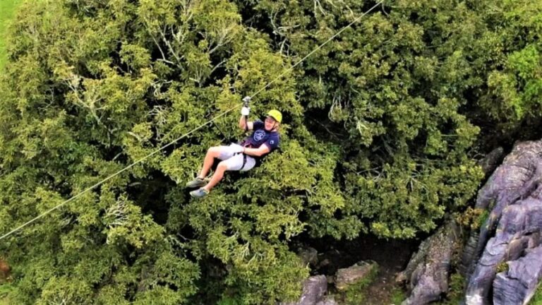 Waitomo Caves 1-Kilometer-Long Zipline Tour - The Value and Why It’s Worth It