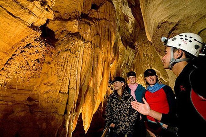 Waitomo Caves Private Driver for Tour - The Experience in Detail