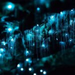 Waitomo Caves Private Tour from Auckland - Who Will Love This Tour?