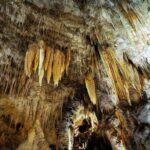 Waitomo Caves & Rotorua - Te Puia Small-Group Tour from Auckland - The Value of This Tour