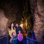 Waitomo Caves: Ruakuri Cave 1.5 Hour Guided Tour - An In-Depth Look at the Ruakuri Cave Tour