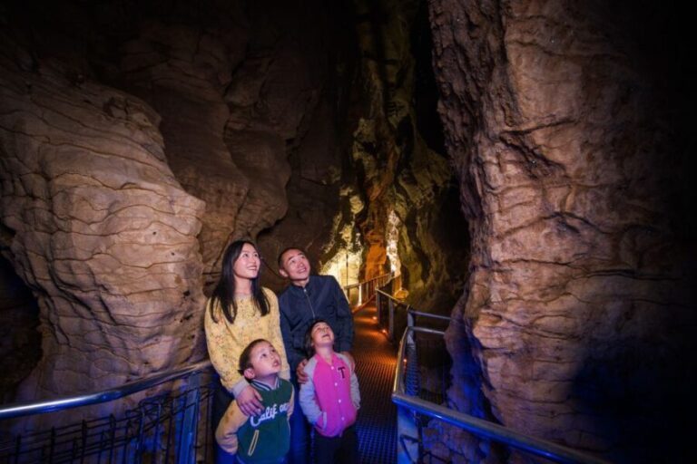 Waitomo Caves: Ruakuri Cave 1.5 Hour Guided Tour - An In-Depth Look at the Ruakuri Cave Tour