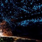 Waitomo Glow Worm Caves Private Tour from Auckland - Why This Tour Offers Real Value