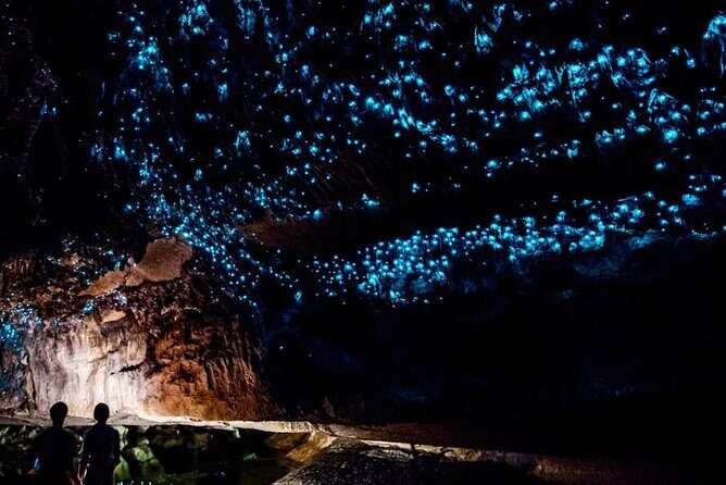 Waitomo Glow Worm Caves Private Tour from Auckland - Why This Tour Offers Real Value