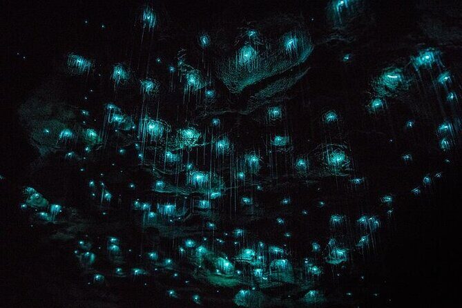 Waitomo Glow Worm Caves & Te Puia - Rotorua's Geothermal Valley - Additional Practical Tips
