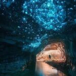 Waitomo Glowworm Caves and Ruakuri Cave - Price and Value Analysis