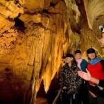 WAITOMO GLOWWORM CAVES & HAMILTON GARDENS - PRIVATE TOUR - Analyzing the Value