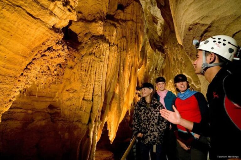 WAITOMO GLOWWORM CAVES & HAMILTON GARDENS - PRIVATE TOUR - Analyzing the Value