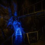 Waitomo Glowworm & Ruakuri Twin Cave Experience - Small Group Tour From Auckland - What We Loved About the Tour