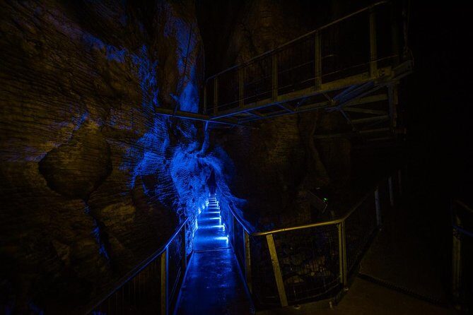 Waitomo Glowworm & Ruakuri Twin Cave Experience - Small Group Tour From Auckland - What We Loved About the Tour