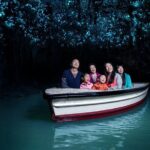 Waitomo Glowworm & Ruakuri Twin Cave Small Group Tour Ex-Auckland - Who Will Enjoy This Tour Most?