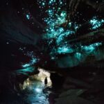 Waitomo: Guided Eco-Cave Tour - The Itinerary: Step-by-Step Breakdown