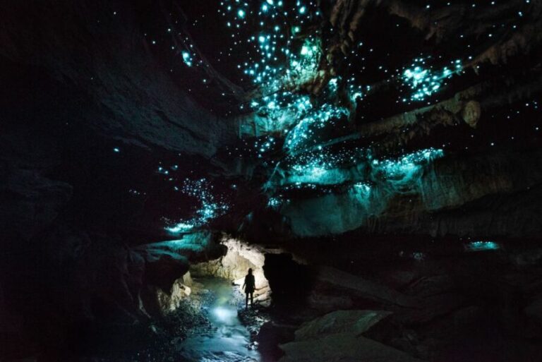 Waitomo: Guided Eco-Cave Tour - The Itinerary: Step-by-Step Breakdown