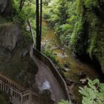 Waitomo & The King Country Exclusive Luxury Day Tour from Auckland - Authentic Experiences & Cultural Insights