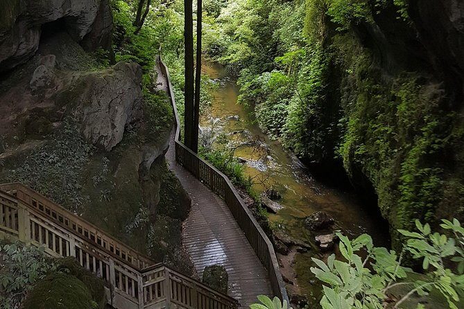 Waitomo & The King Country Exclusive Luxury Day Tour from Auckland - Authentic Experiences & Cultural Insights