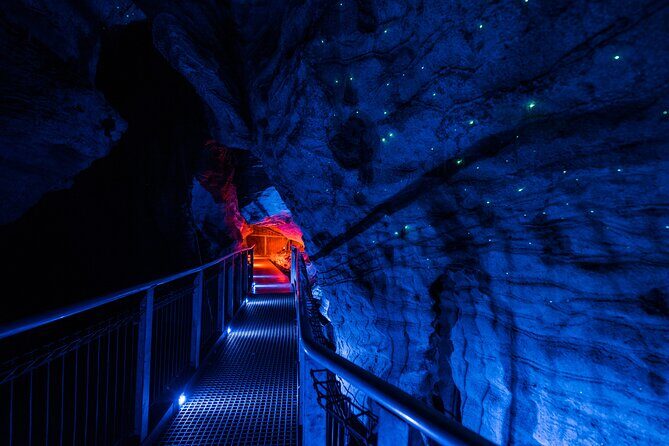Waitomo Triple Cave Experience - Private Tour From Auckland - Next Stop: Ruakuri Cave – The Largest Guided Walk