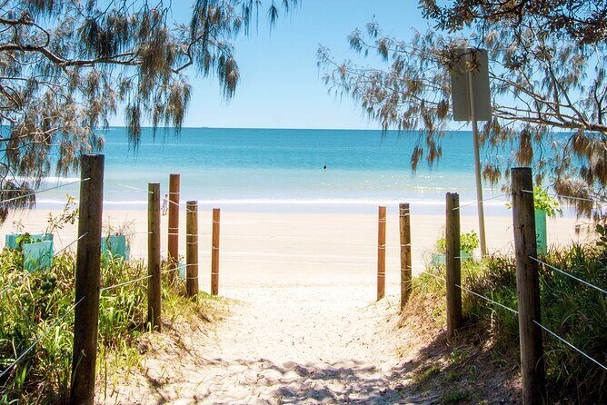 Walking Photography Tours of Mooloolaba and Alexandra Headland - Who Is This Tour Best For?