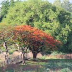 Walking tour in the ancient imperial garden of Aurangabad - Practical Details: What to Expect