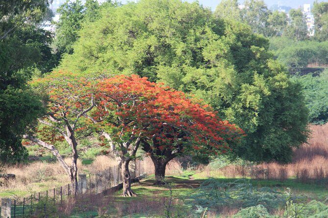 Walking tour in the ancient imperial garden of Aurangabad - Practical Details: What to Expect