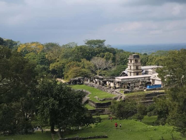 Walking tour in the archaeological site and jungle of Palenque - The Itinerary: What You Can Expect