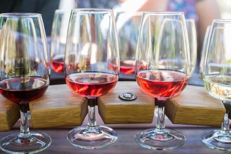 Wanaka: Full Day Classic Wine Tour with Lunch - Is This Tour Worth the Price?