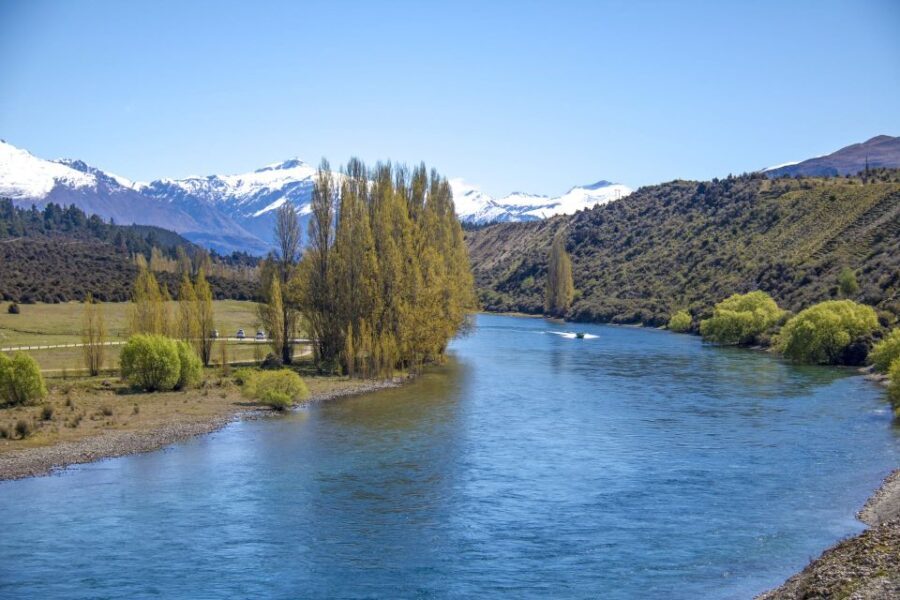 Wanaka: Jet Boat Ride on Clutha River - The Value: Is It Worth It?