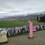 Wanaka Private Day Trip from Queenstown: TravelnGo - What Makes This Tour Stand Out?